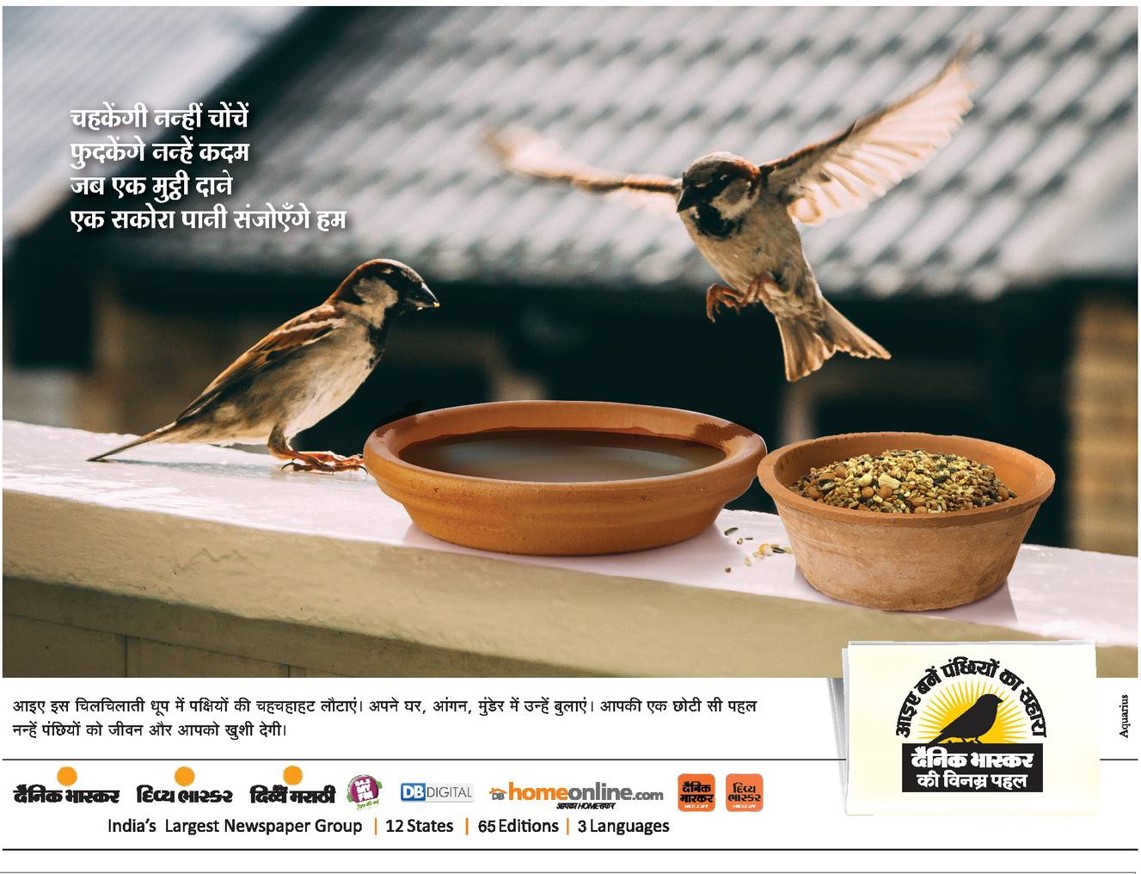 DB Corp Ltd | Investor | Corporate Social Responsibility | Save The Birds